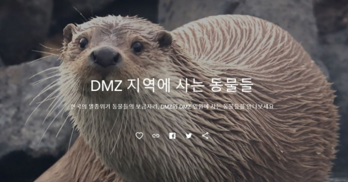 CNN “남·북 가르는 DMZ, 야생동물의 천국”