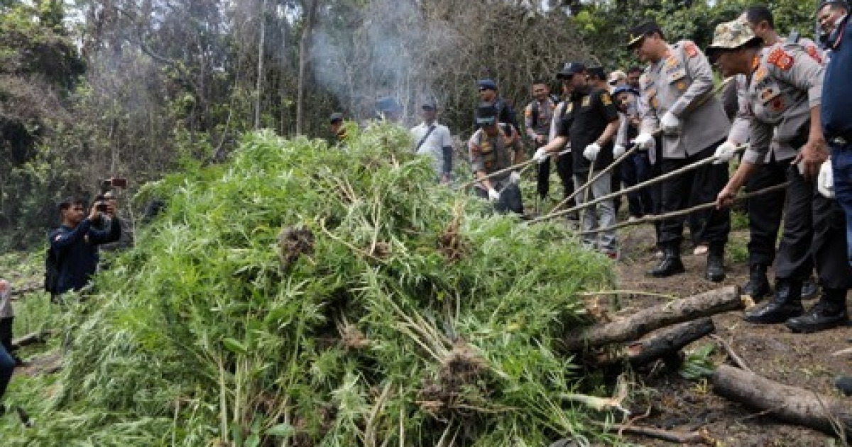 INDONESIA CRIME DRUGS