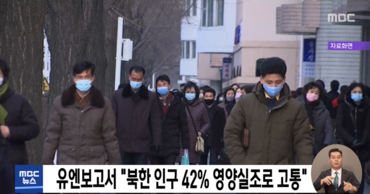 유엔보고서 북한 인구 42 영양실조로 고통