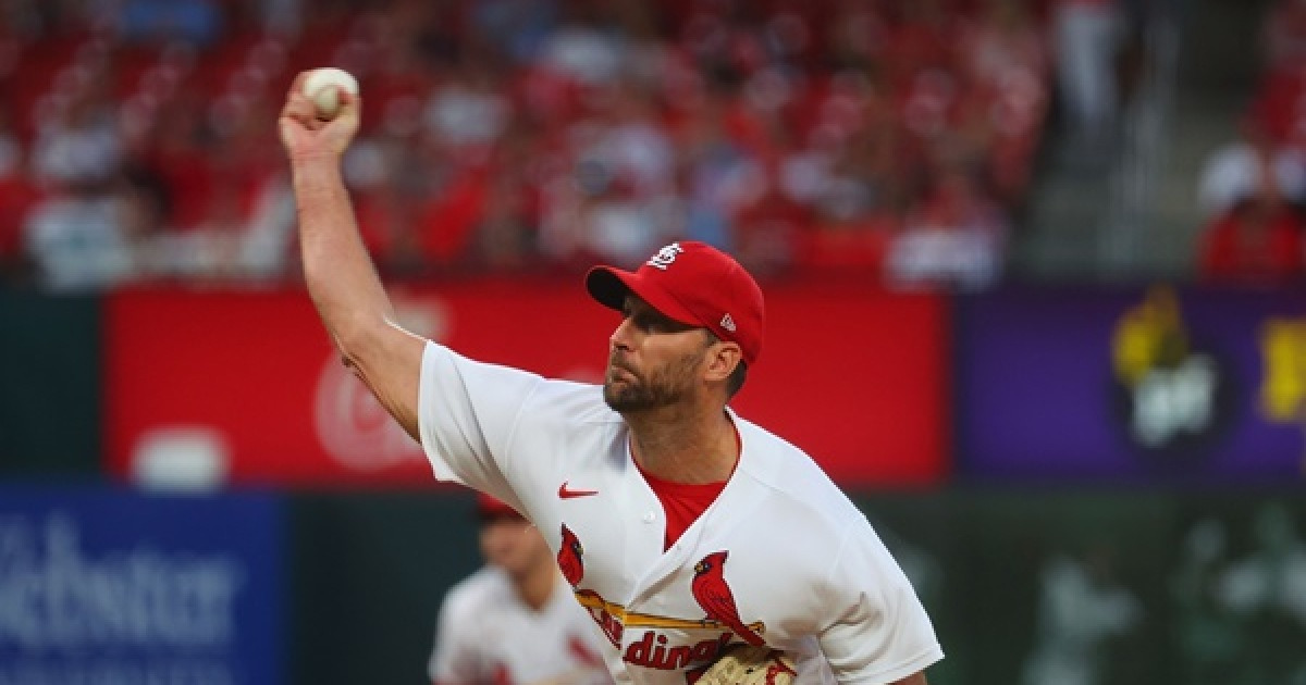 WBC 참가했던 STL 웨인라이트, 사타구니 부상으로 이탈