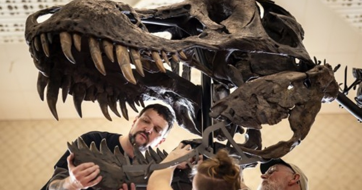 epaselect SWITZERLAND T-REX TRINITY