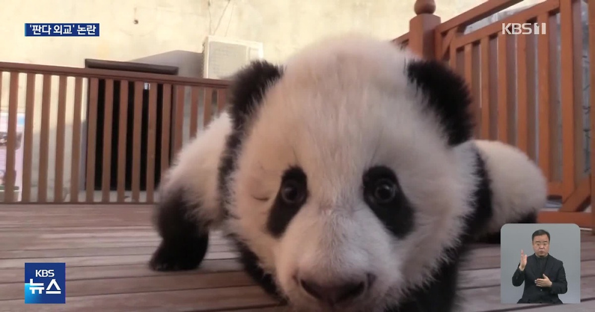 중국 ‘판다 외교’의 두 얼굴