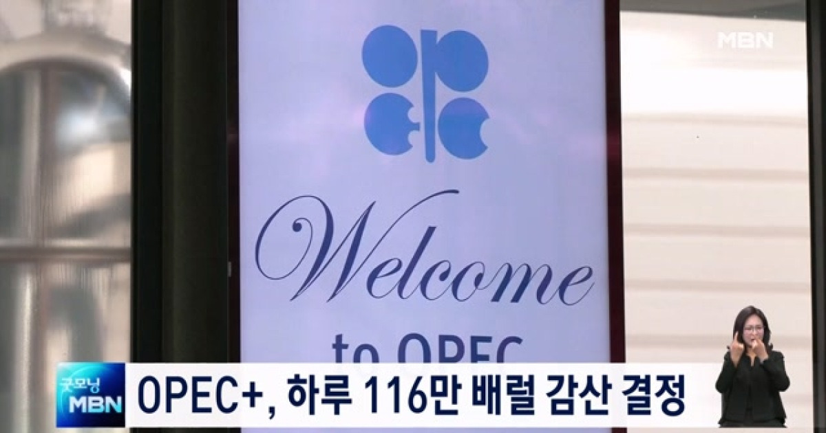 OPEC 플러스, 하루 116만 배럴 '자발적 감산' 결정