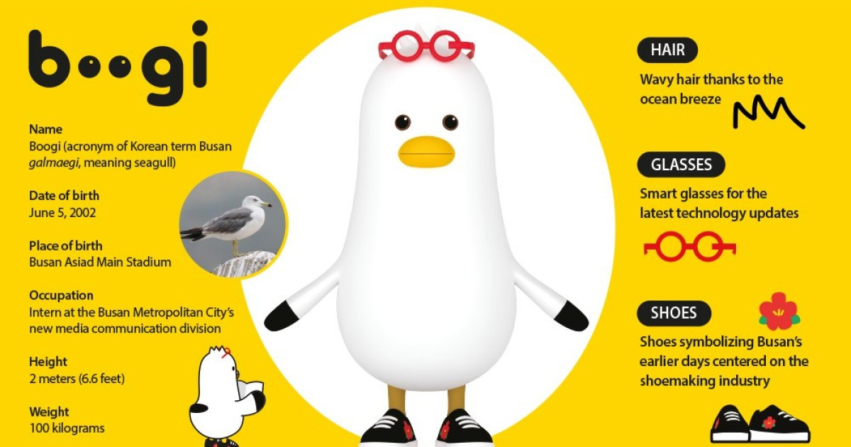 Here's all you need to know about Busan's best-traveled bird Boogi