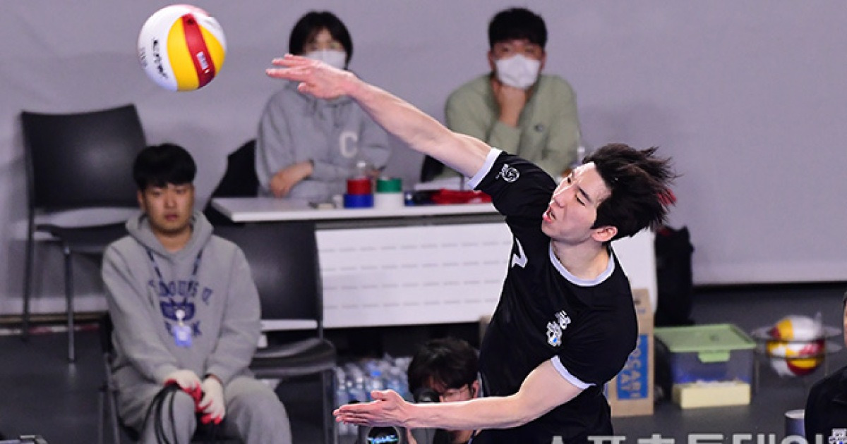 허수봉 ·임동혁, 개인 첫 FA…KOVO, 남자부 FA 16명 공시