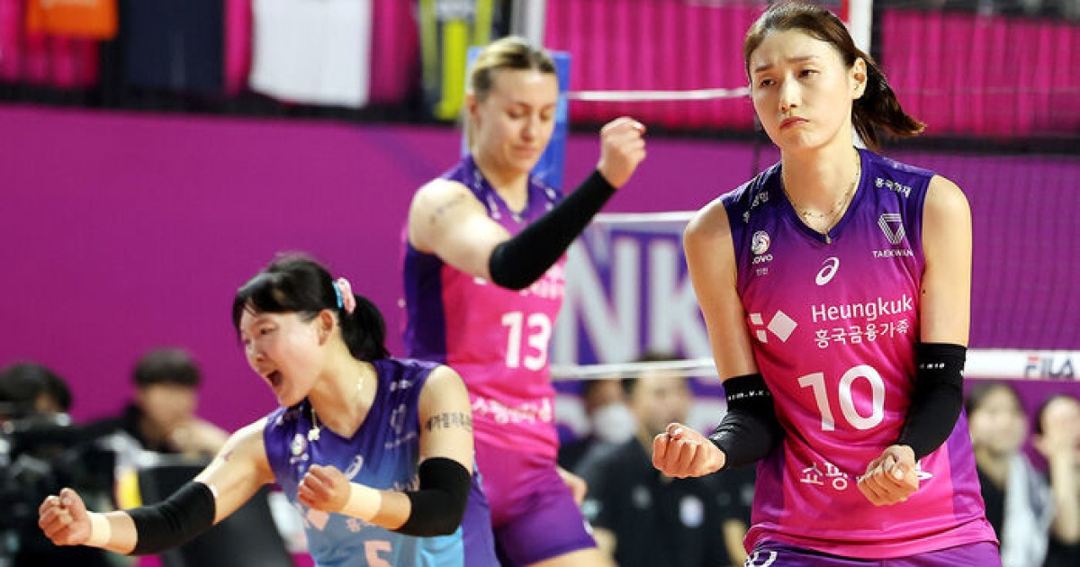 KOVO, 김연경 · 박정아 등 여자프로배구 FA 20명 공시