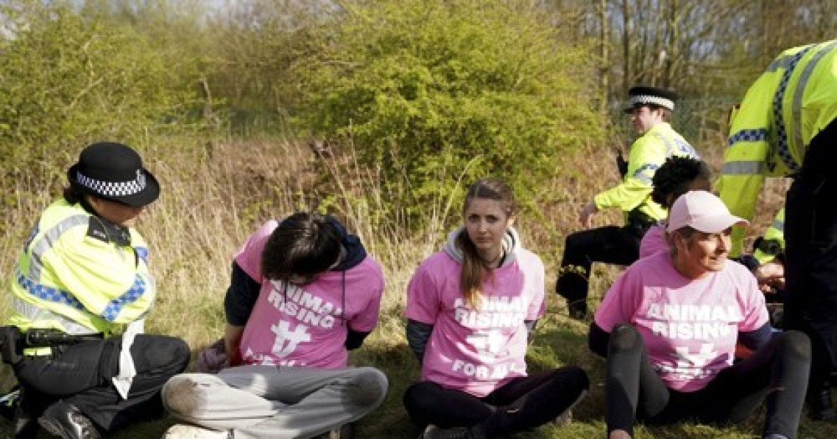Britain Aintree Horse Racing Protest