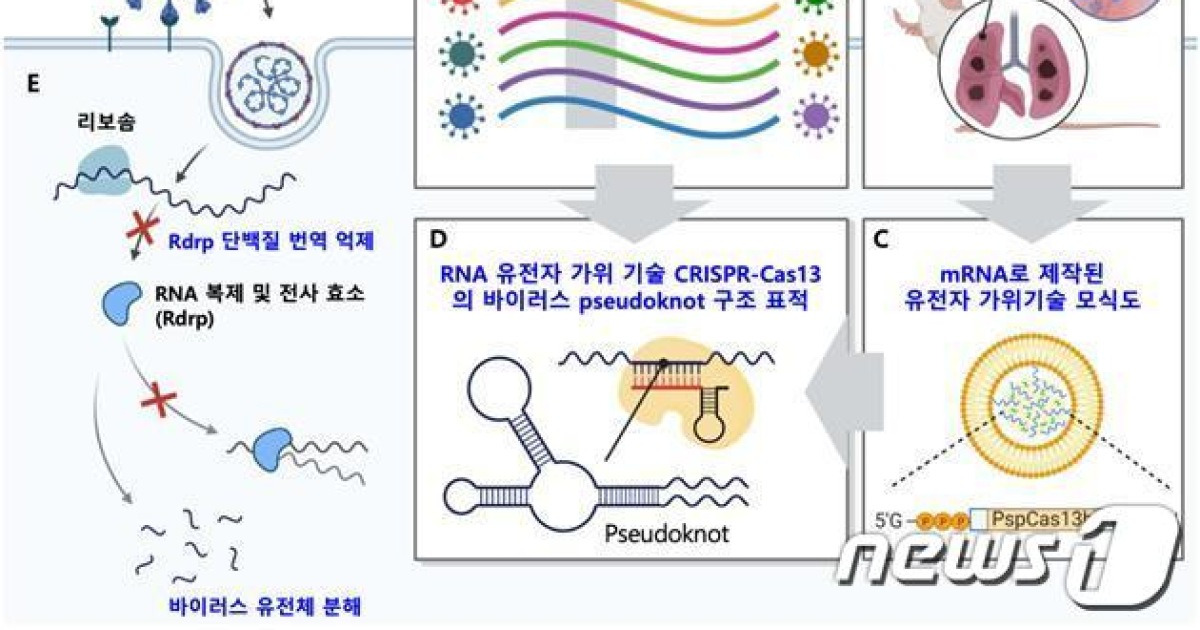 KAIST "유전자 가위로 코로나19 싹둑…증식 99.9% 차단"
