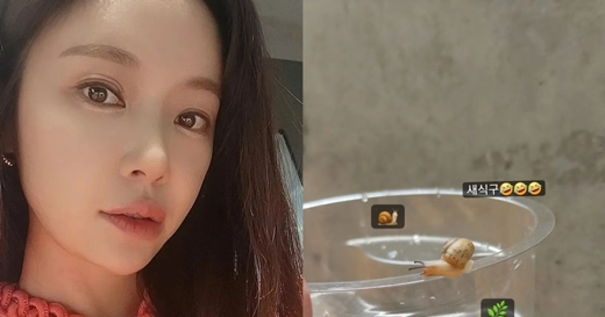 이영돈♥ 황정음 예상치 못한 새 식구…깜짝 놀랐네