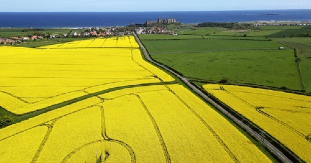 Britain Spring