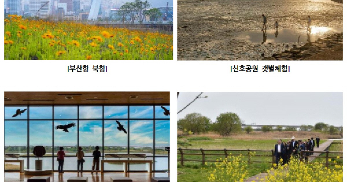 Bie실사단 방문지 여행코스로…부산엑스포 특별 메뉴도 출시