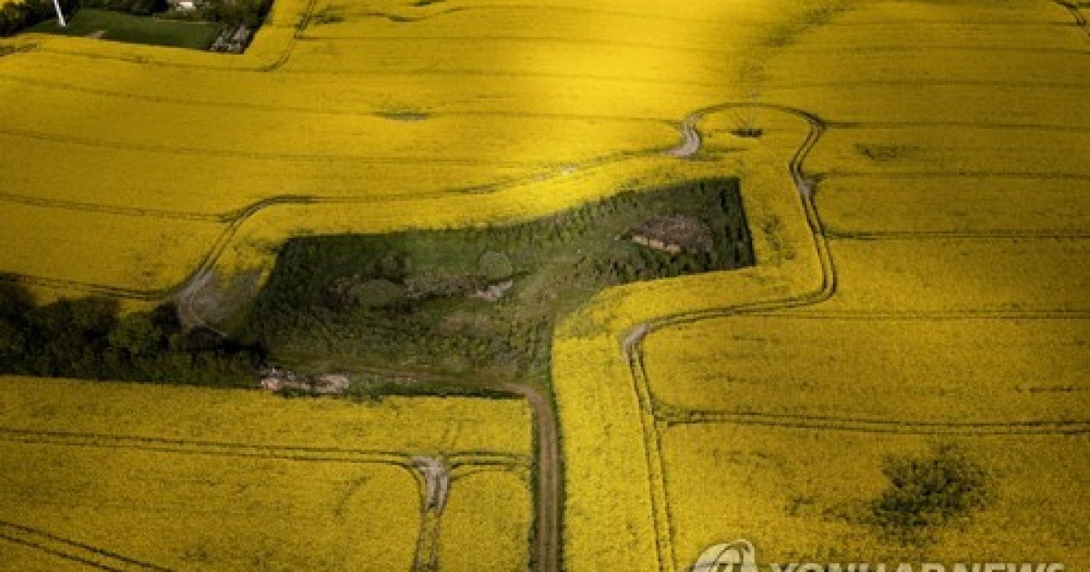 DENMARK AGRICULTURE