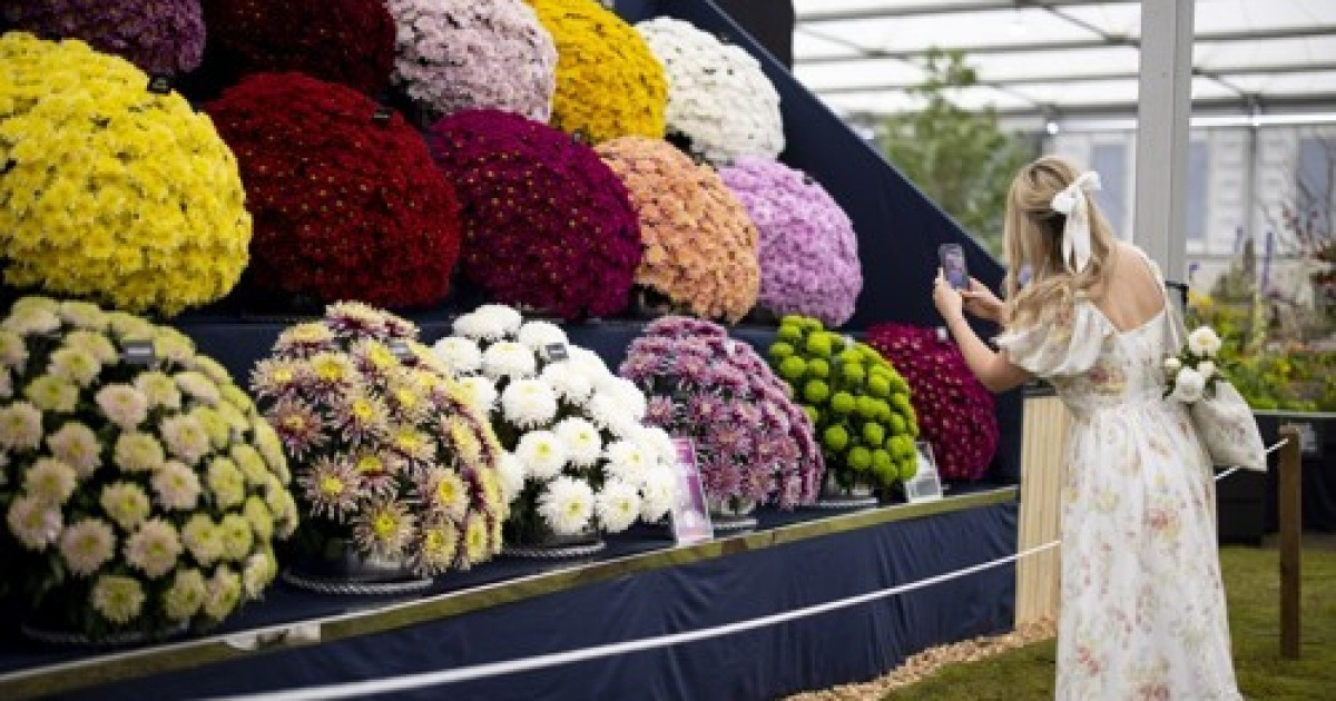 BRITAIN FLOWER SHOW