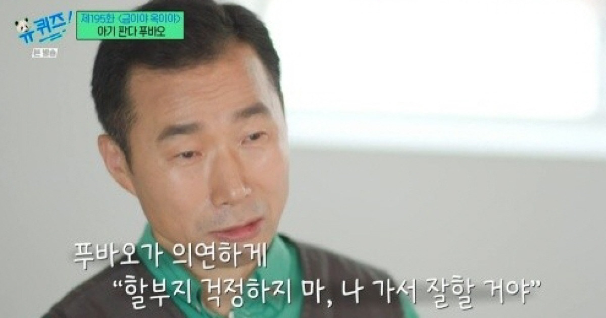 Sc리뷰 푸바오 할아버지 강철원 내년 푸바오와 이별 영원한 나의 아기판다 눈물유퀴즈 