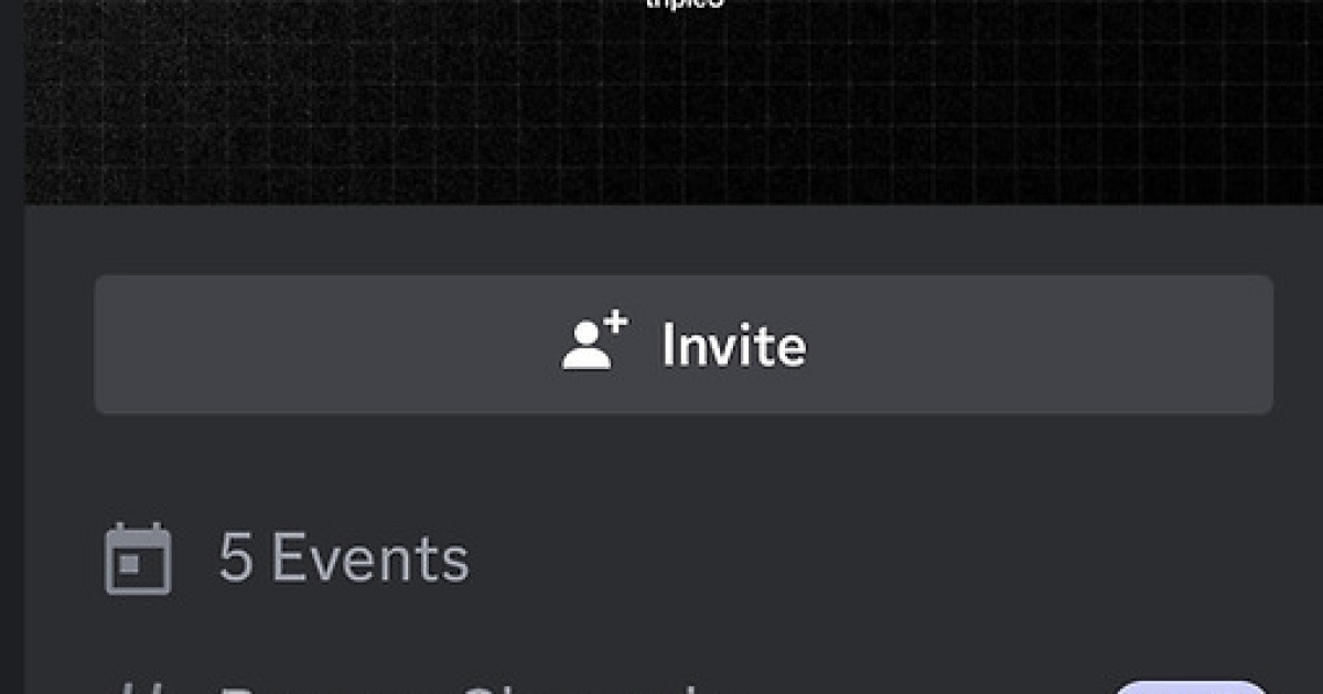 Discord officially authorizes Artms, tripleS's servers