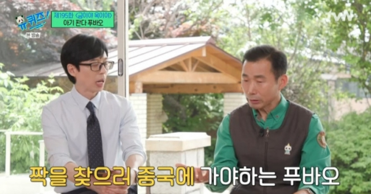 강철원 사육사 푸바오와 이별 아직 협의된 것 없다끝내 눈물 유퀴즈 전일야화 