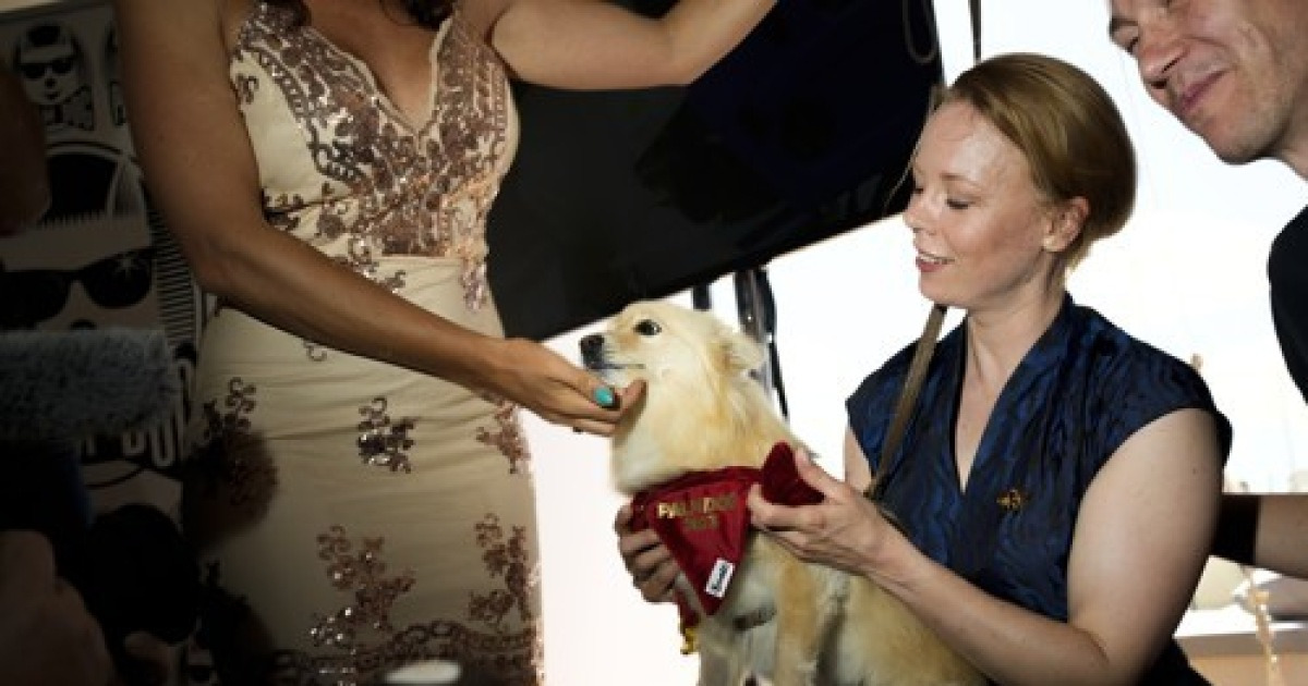 France Cannes Palm Dog Awards 2023