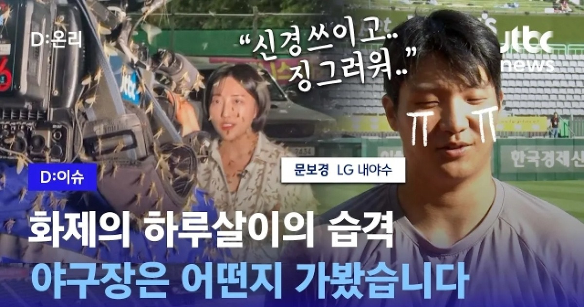 [D:이슈] 팬들이 우비로 무장하는 이유…'하루살이'가 바꾼 야구장