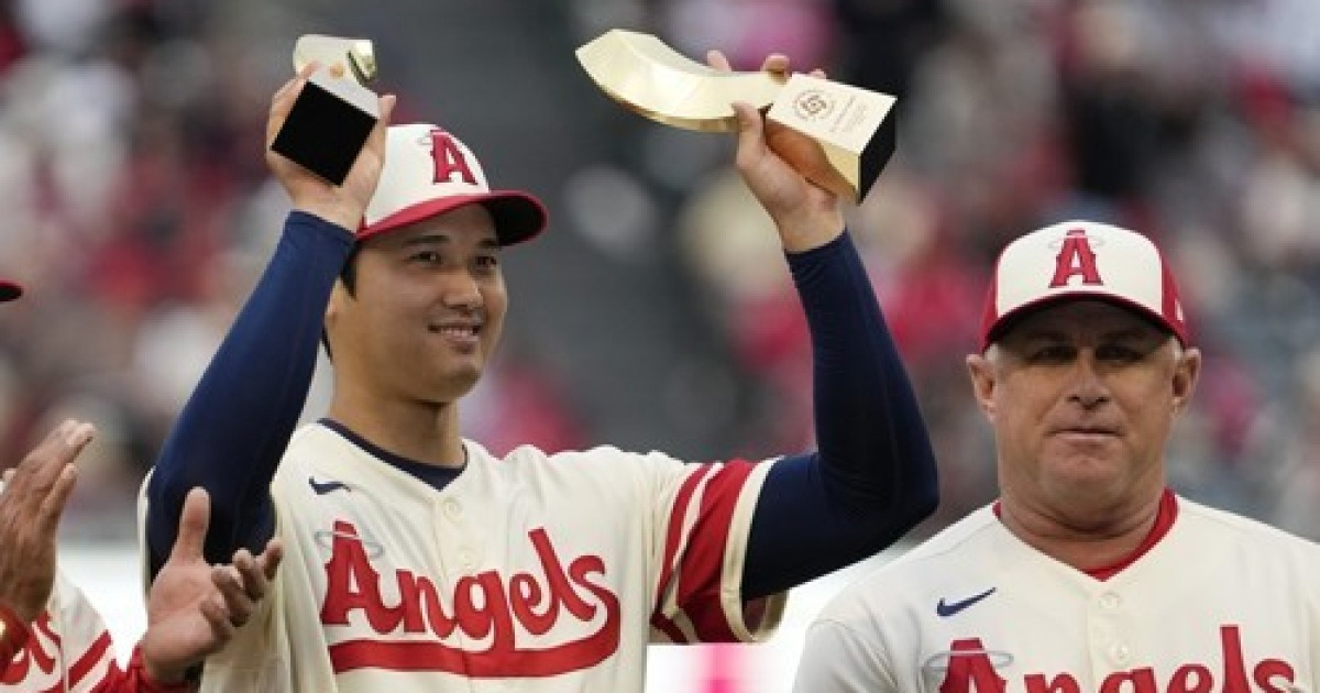Marlins Angels Baseball