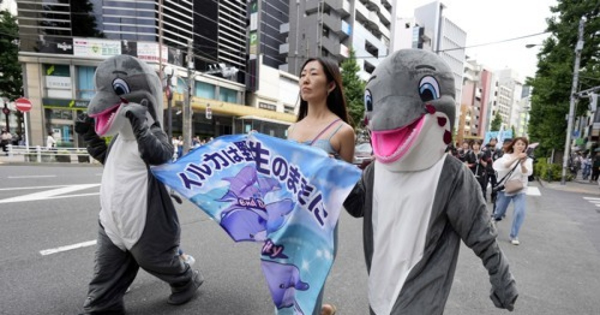 JAPAN ANTI DOLPHIN HUNT RALLY