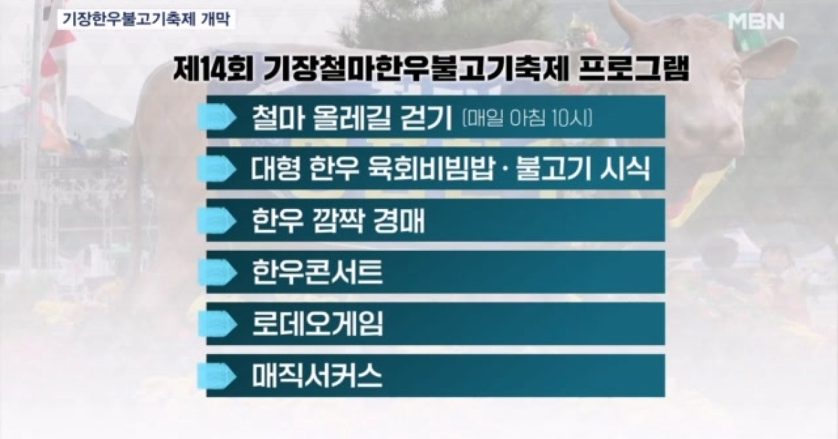 철마 한우 맛보러 오세요기장철마한우불고기축제 개막 