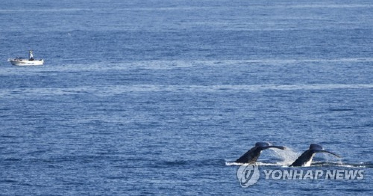 Australia Daily Life