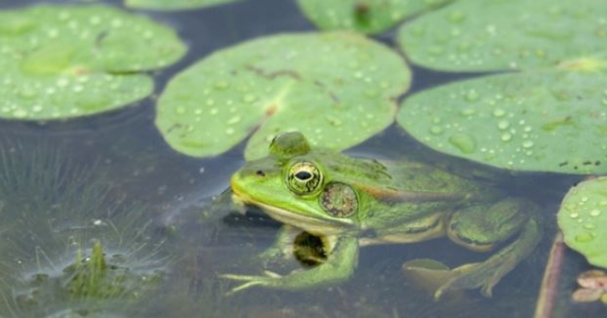 "나 좋아해주면 감정 식어"…日 MZ의 심리, 자존감·SNS 영향?