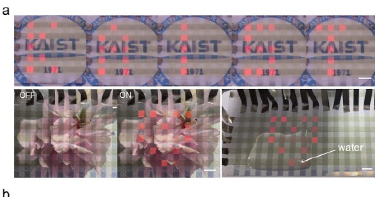 KAIST, 맥신나노기술로 세탁가능한 투명 플렉시블 OLED 개발