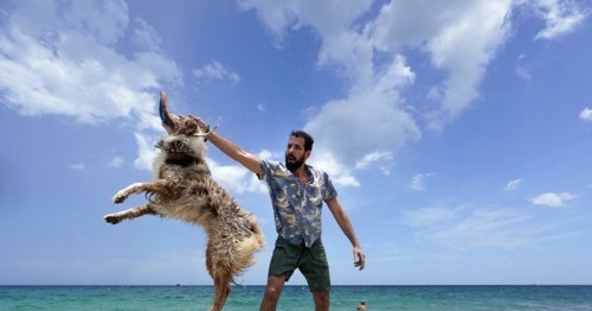 Florida Hot Weather Animals