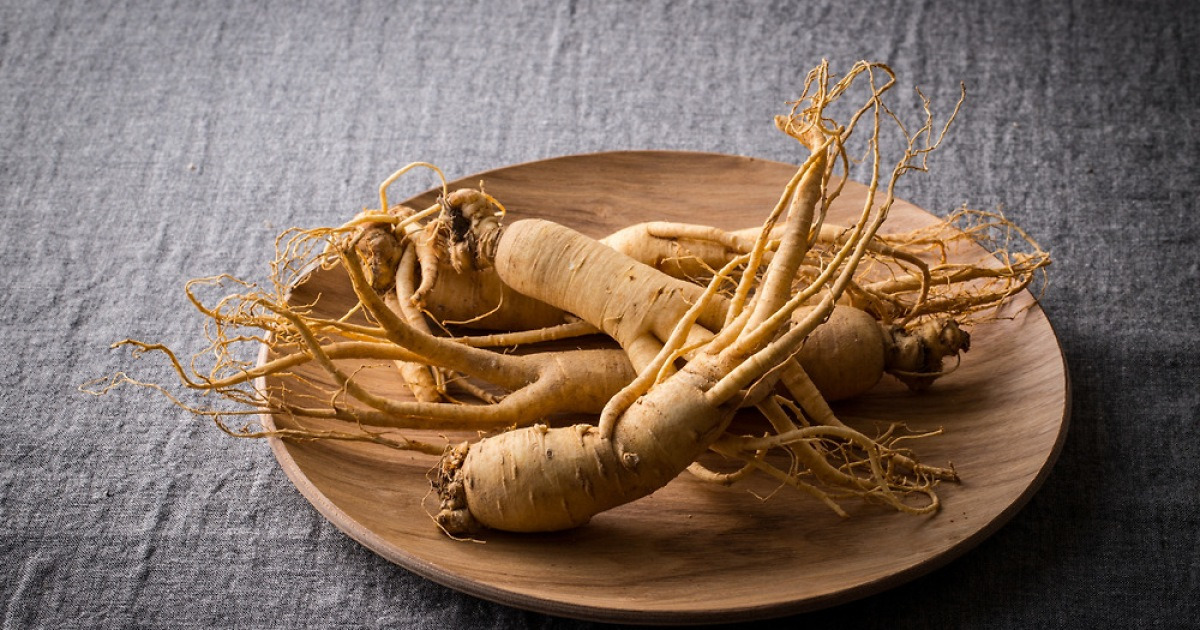 Campaign launched to separate classification of insam from ginseng