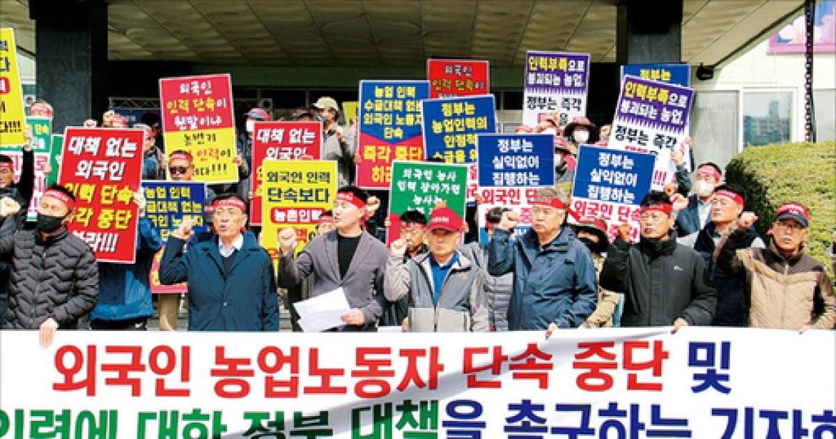 올 상반기 불법체류 외국인 3만7000명 출국⋯농민 ‘속앓이