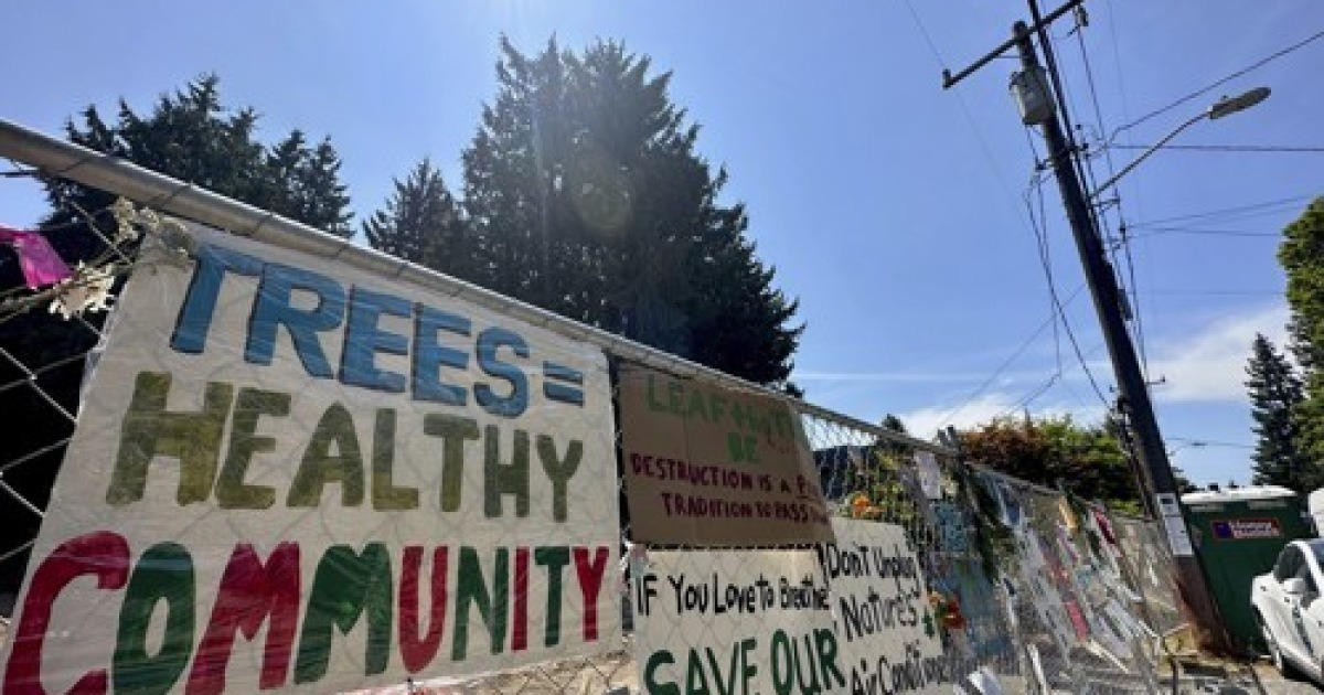 Seattle Tree Protest