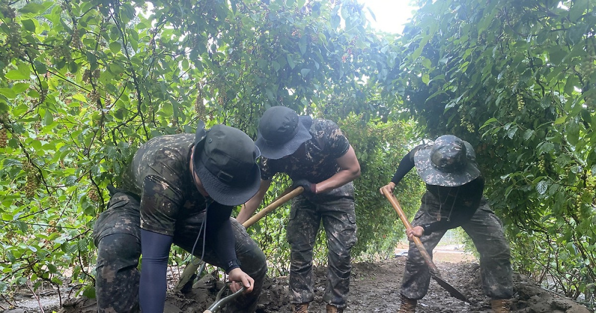 복구에 구슬땀 흘리는 육군 50사단