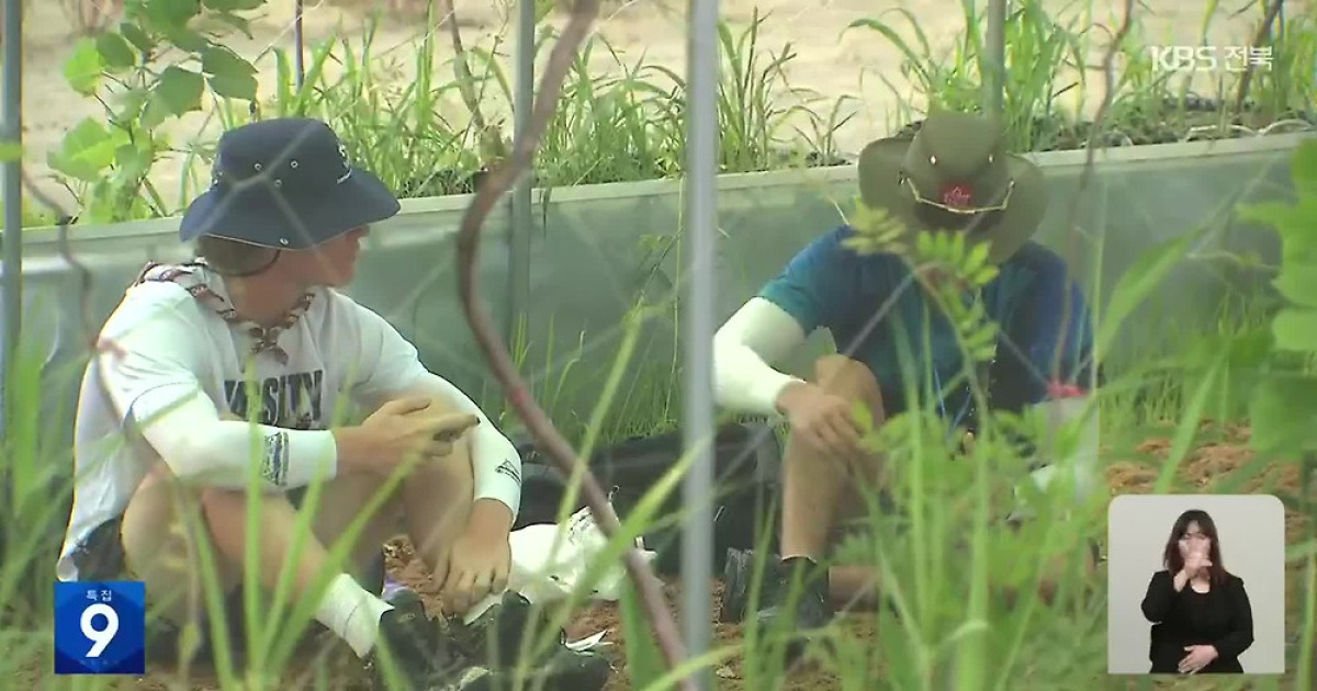 15,000km 달려 목적지는 ‘새만금 잼버리’…온열 질환 우려 여전