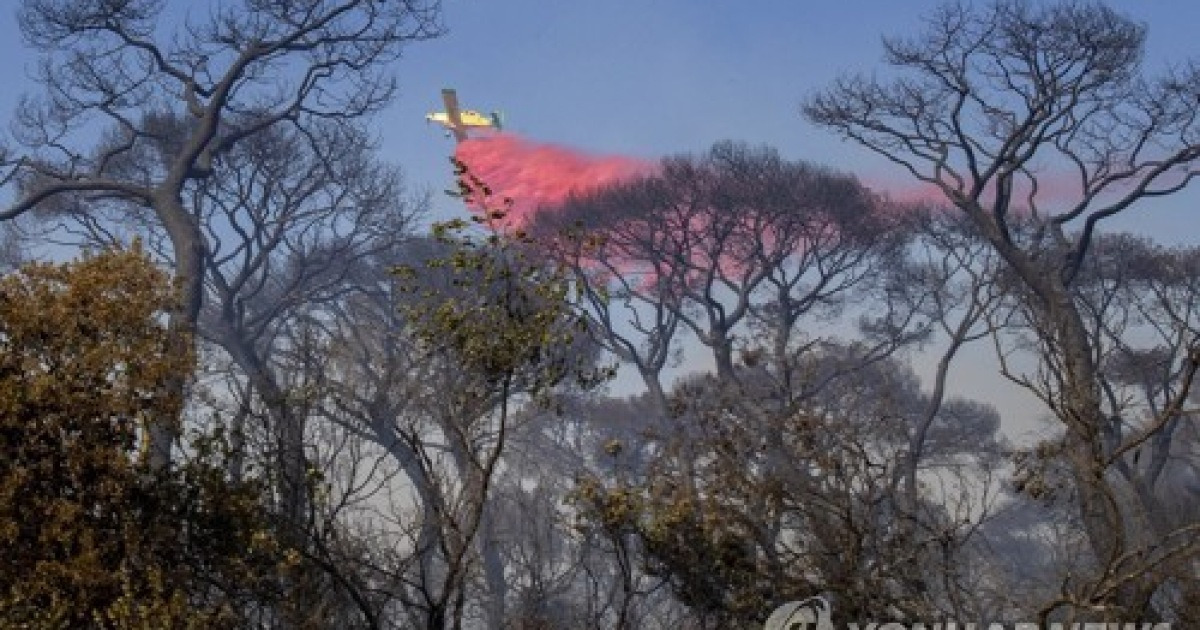 epaselect SPAIN FOREST FIRE