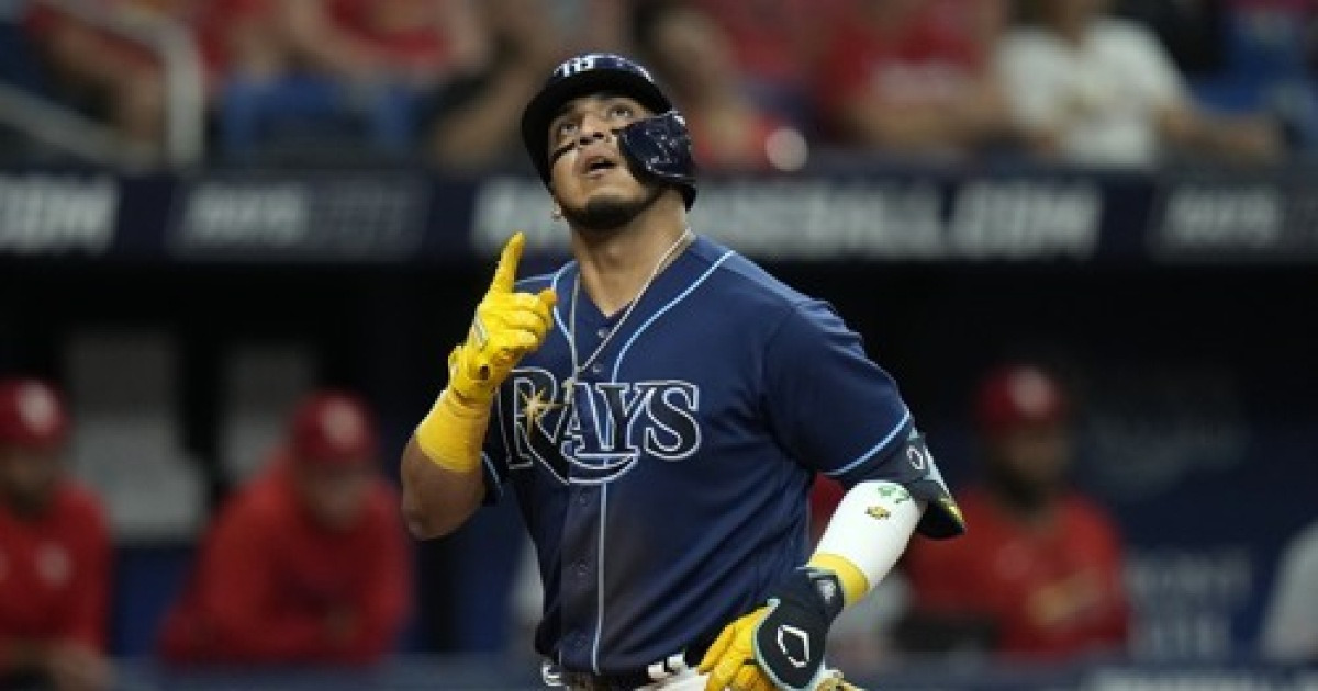 Cardinals Rays Baseball