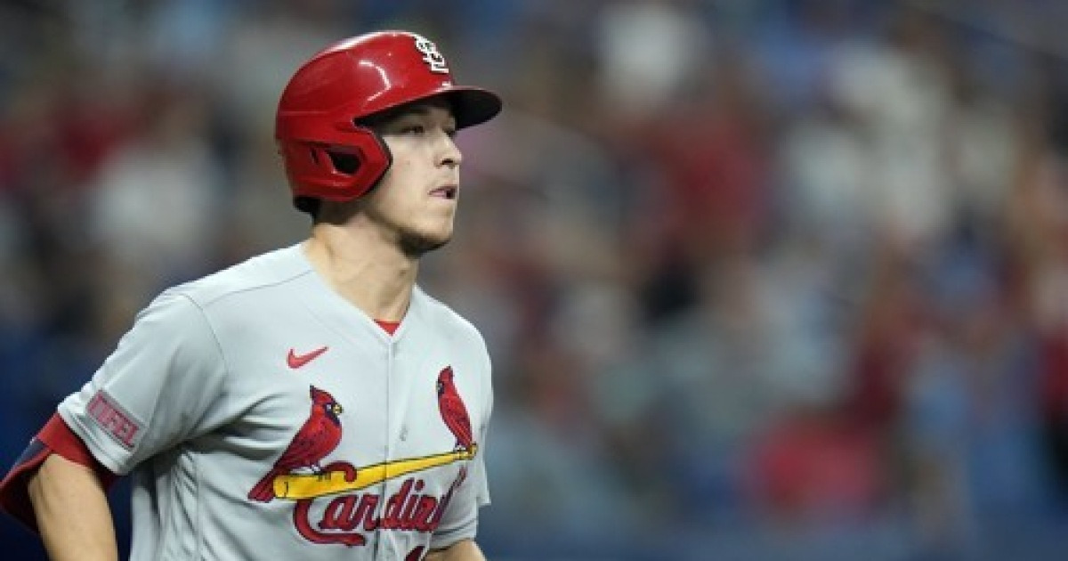 Cardinals Rays Baseball