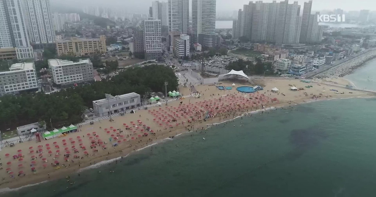 [크랩] 폭염인데 바닷물은 얼음장…오히려 좋아?