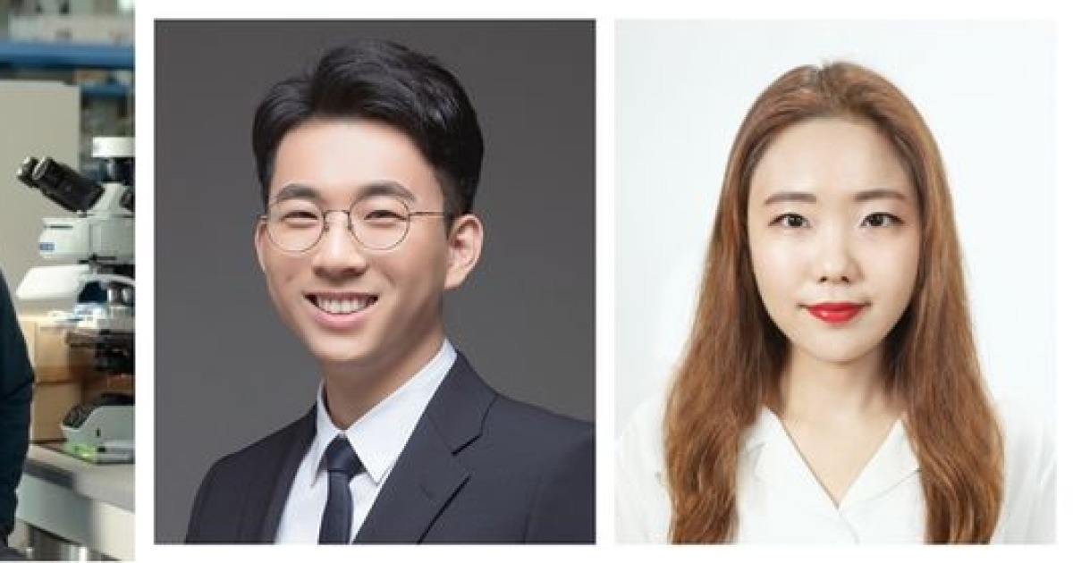 값싼 물질로 레독스 전지 시스템 성능 향상…UNIST·KAIST 연구