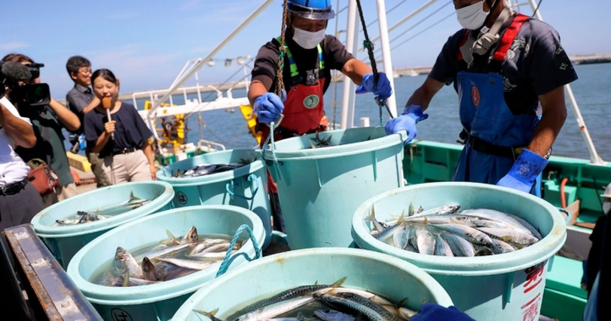 ‘오염수 방출’ 일본, WTO·RCEP서 중국과 맞붙는다···일본 수산물 수입금지 철회 요구