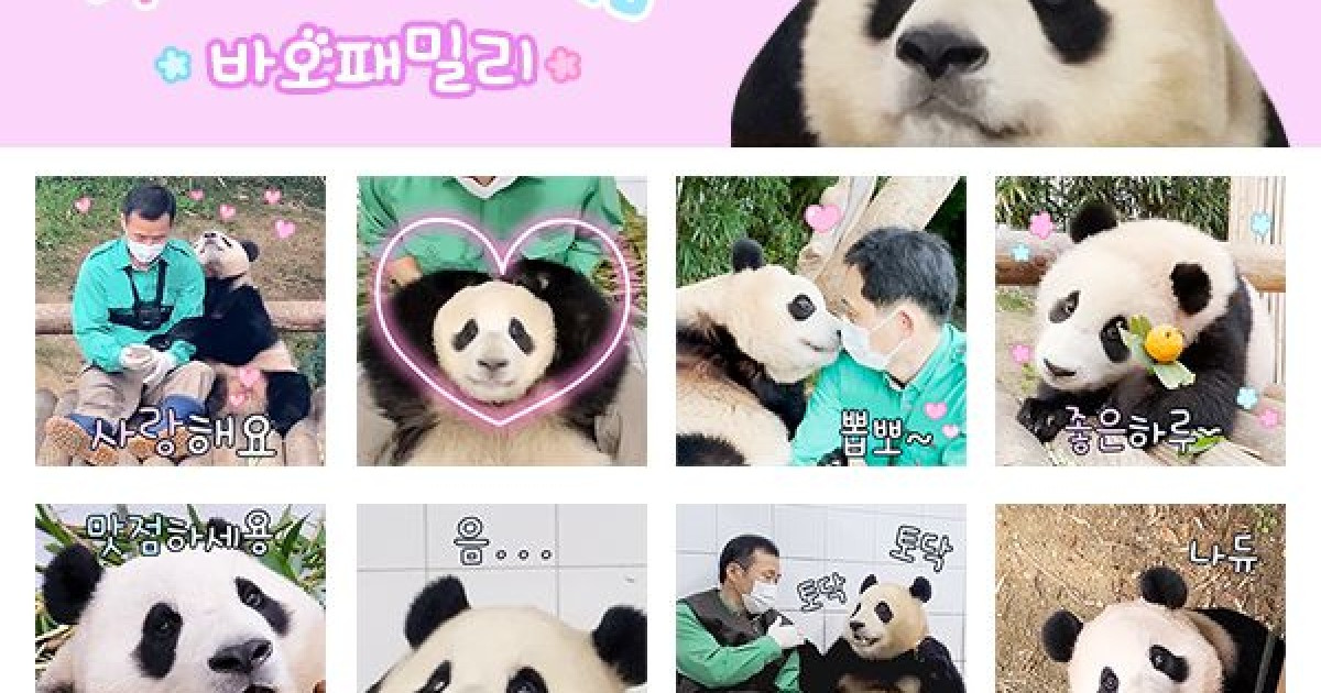 대세는 '아기 판다 푸바오' …카톡 이모티콘 1·2위 휩쓸어