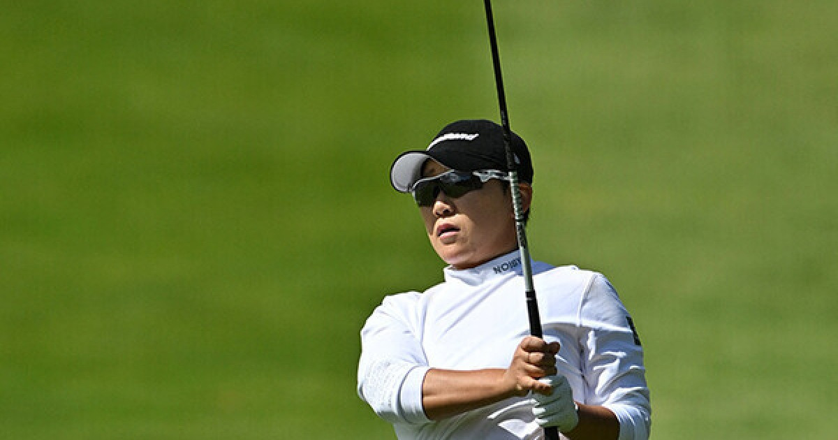 신지애, JLPGA 선수권대회 2R서 공동 6위로 '껑충'…배선우는 10위