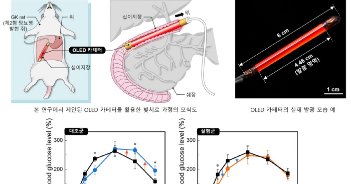 [과학]KAIST, 아산병원·ETRI와 '체내' OLED 빛 치료 세계 최초 구현