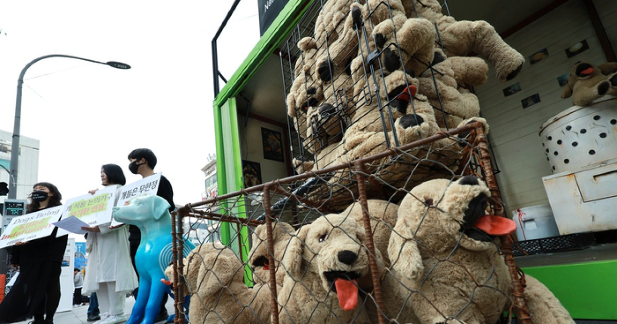‘개 식용 금지’ 이번엔 정말?