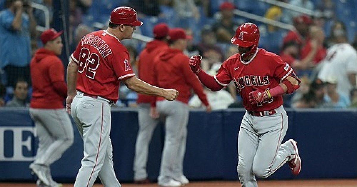 Angels Rays Baseball