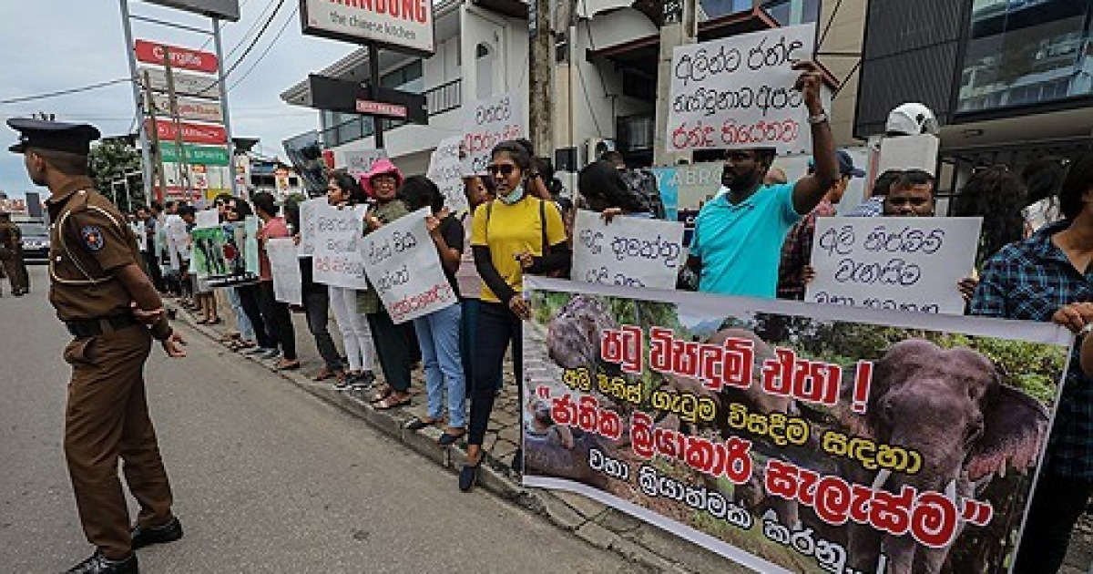 SRI LANKA PROTEST HUMAN ELEPHANT