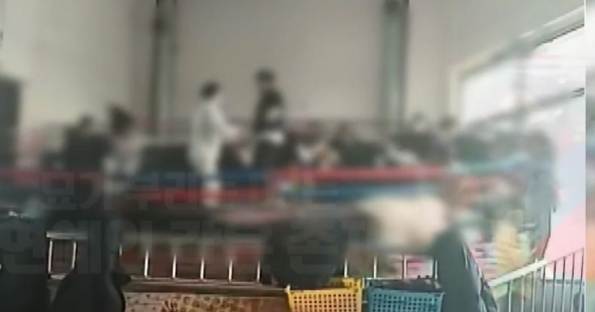 "우리 오빠 좋은 사람이에요" 디스코팡팡 DJ의 충격적인 비밀 [Y녹취록]