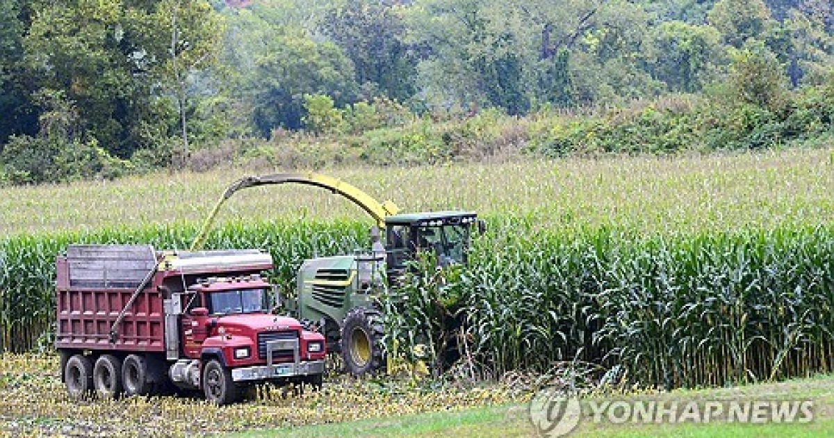 Vermont Corn Harvest