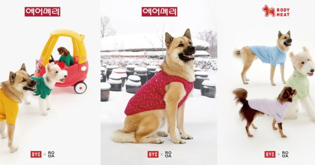 BYC, '23 FW 개리야스' 신제품 출시… 사전예약 실시