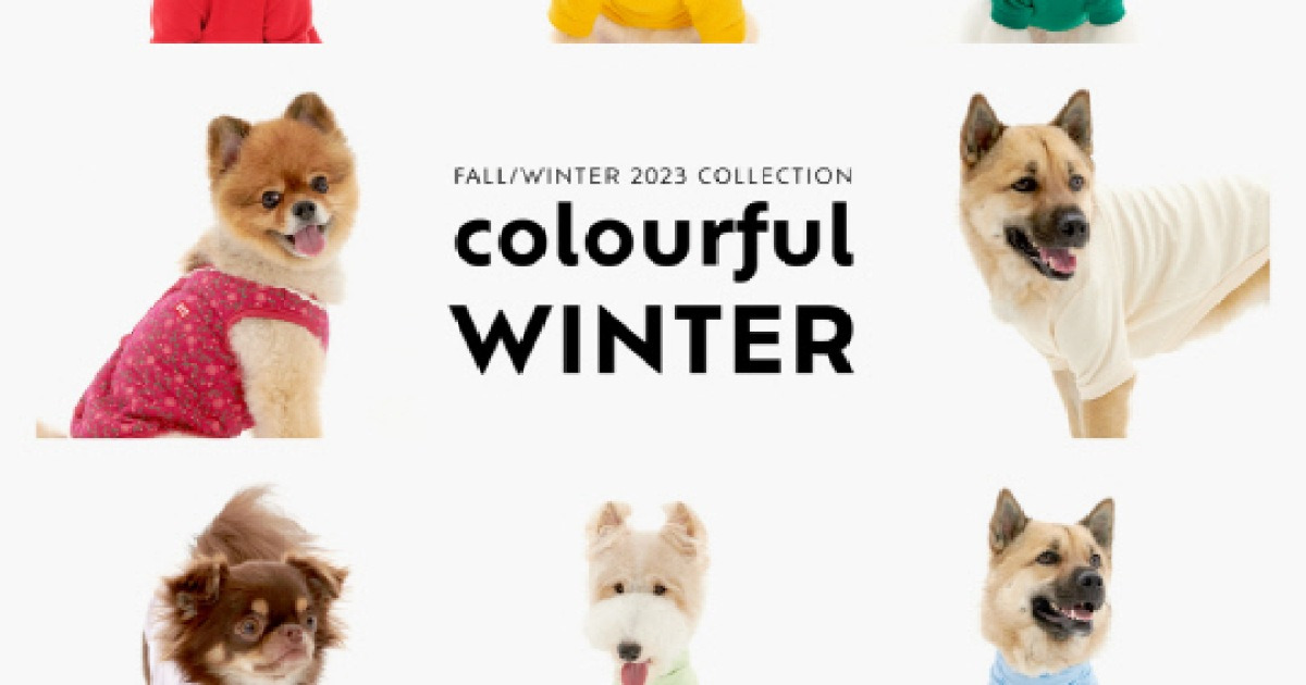 BYC, 신제품 개리야스 사전예약 진행…2023FW 5종 선봬